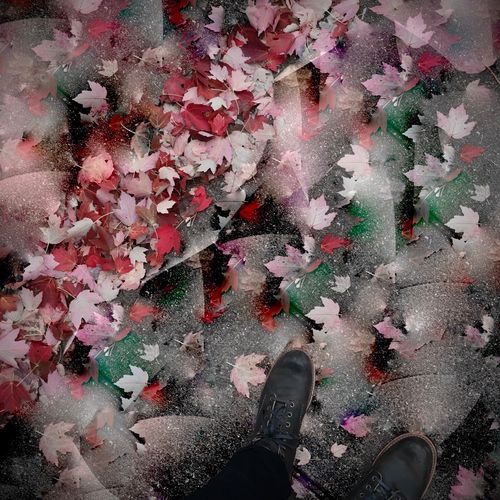 Jakub Dominé res profile | SubmitHub