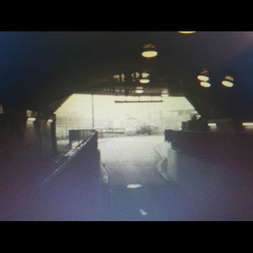 shelter one res profile | SubmitHub