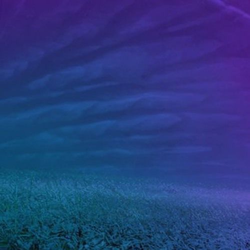 ampir3 res profile | SubmitHub